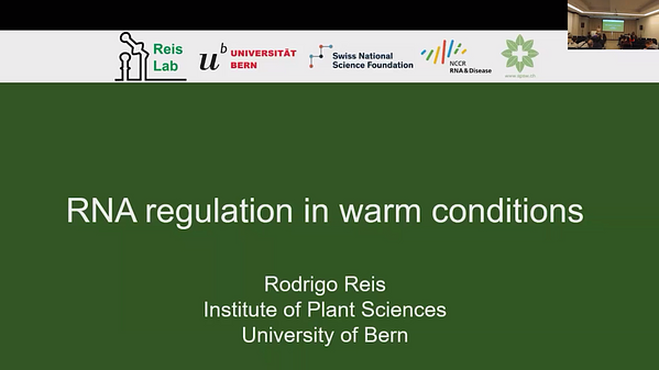 Underline | RNA regulation in warm conditions