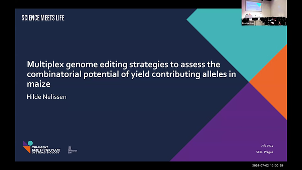 Underline | Multiplex genome editing strategies to assess the ...